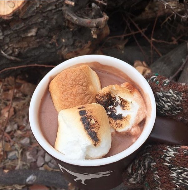 Nutrasumma- Hot Cocoa Recipe