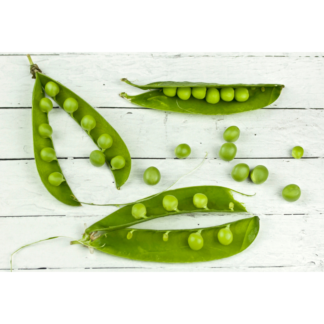 A Beginner's Guide to Fermented Pea Protein: A Nutrient-Packed Protein ...